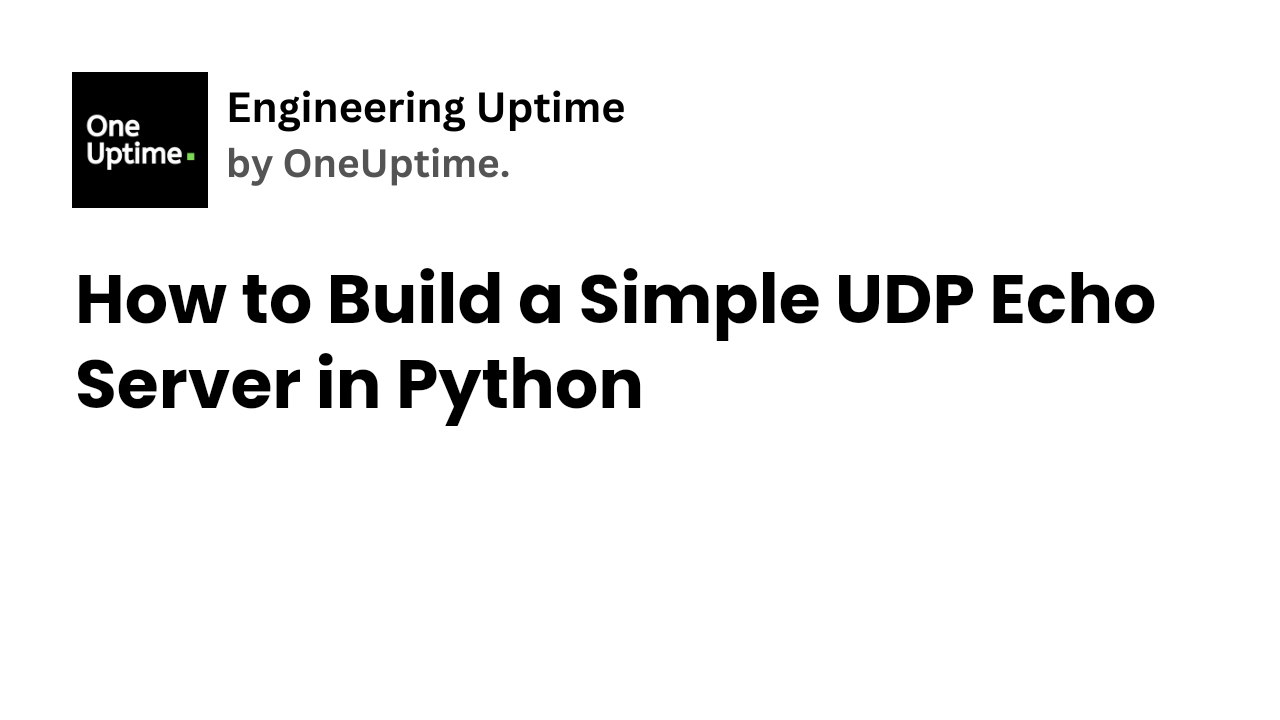 How to Build a Simple UDP Echo Server in Python