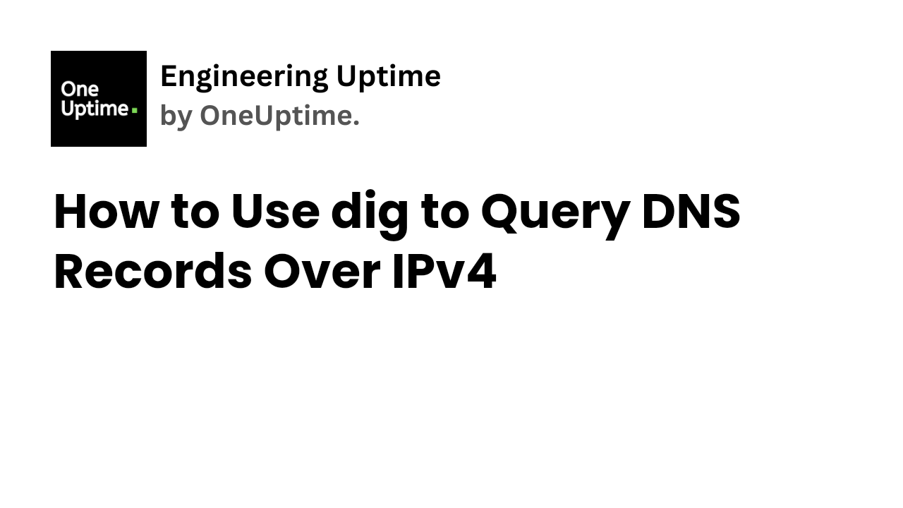 How to Use dig to Query DNS Records Over IPv4